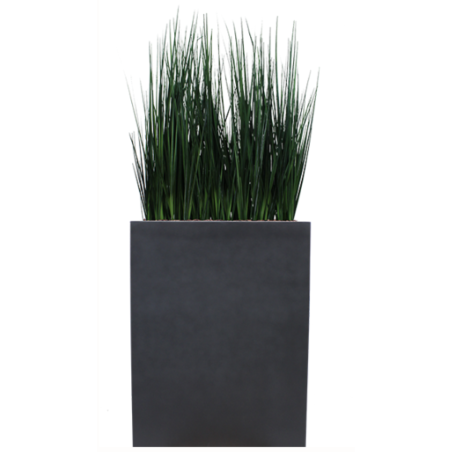 Séparateur végétal graminées L.60 cm, pot noir| BD Mobilier